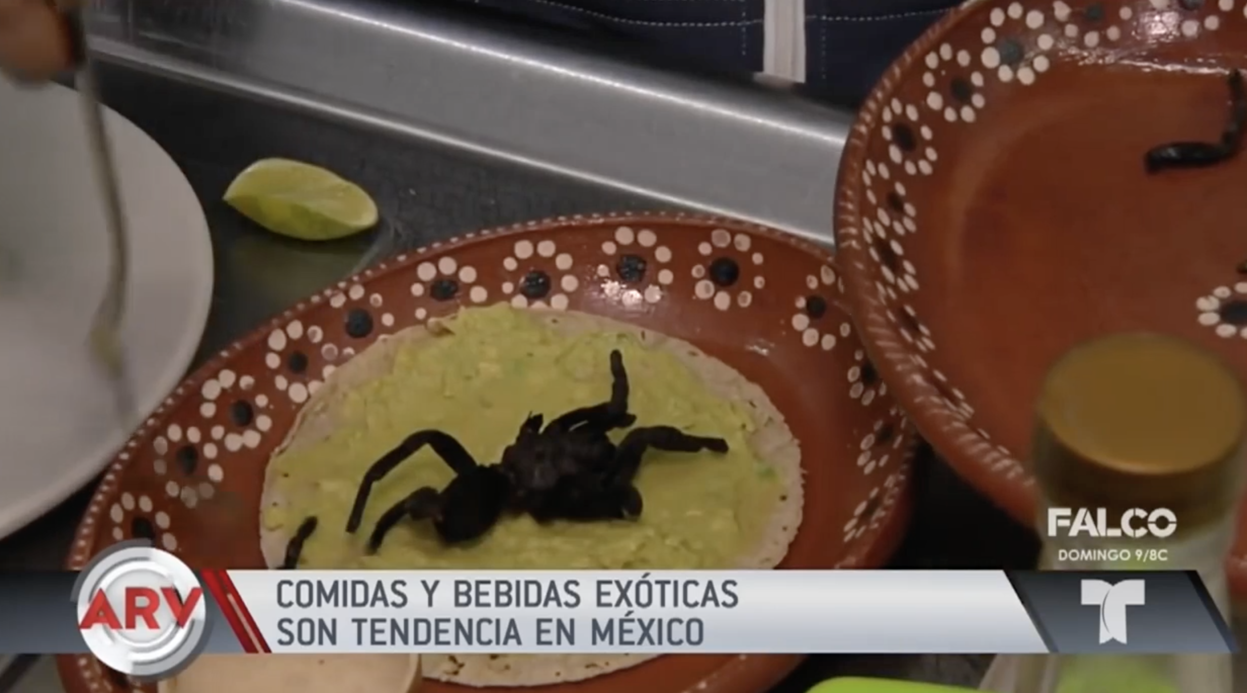 ¿Te comerías un taco de TARÁNTULA? Comidas y bebidas exóticas son ...