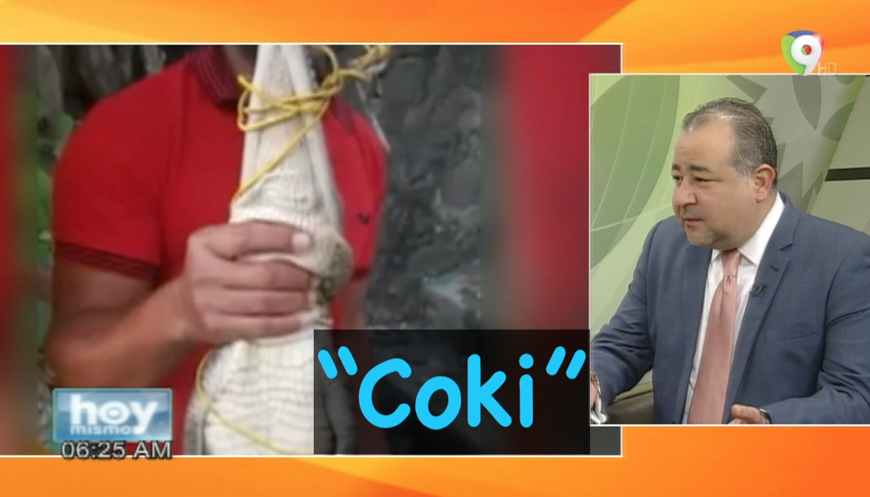 Se entrega "Coki" el cocodrilo de Sabana Perdida, su captor dice que no fue difícil agarrarlo ...