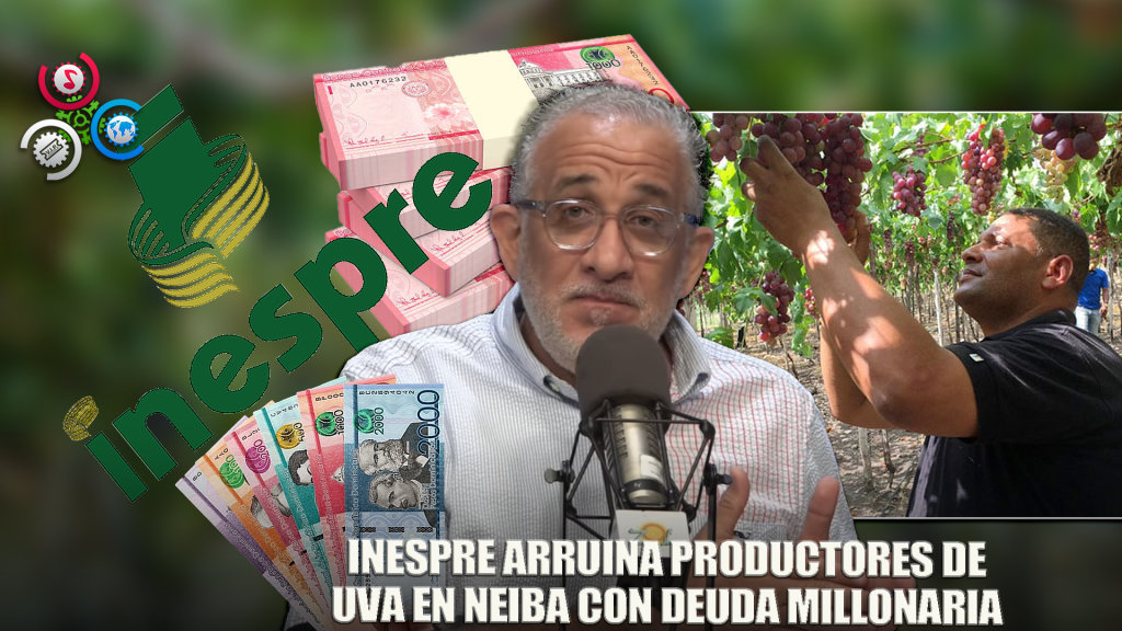 INESPRE debe RD$11 millones a productores de uvas en Neiba - Cachicha.com