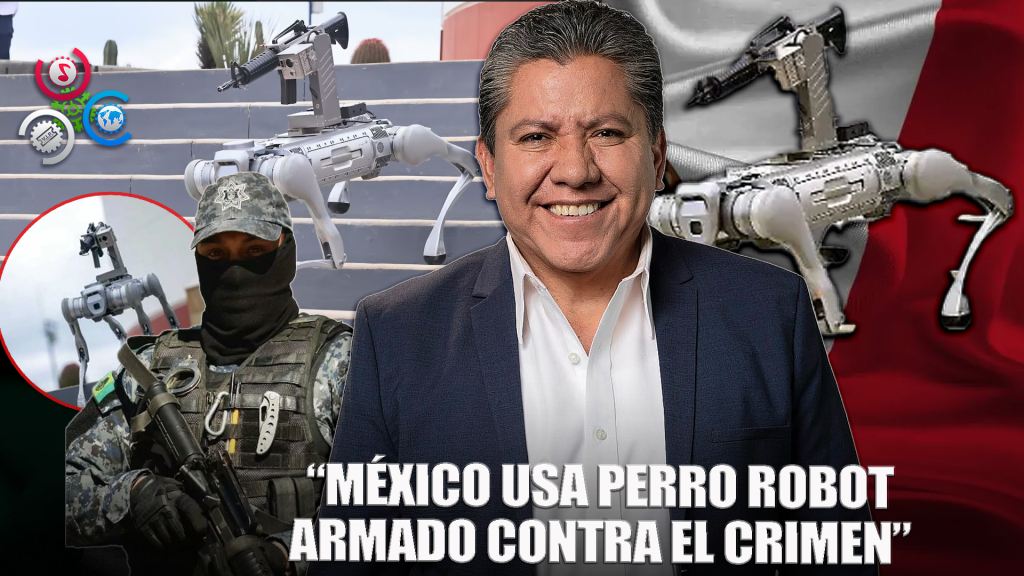 “México implementa perro robot armado para combatir el crimen ...