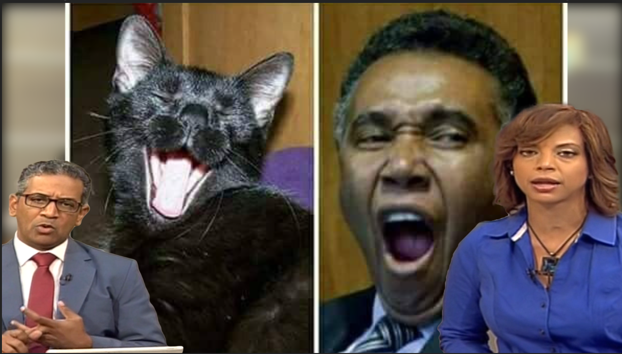 Amelia Deschamps y Javier Cabreja: Los Detalles del Comunicado Donde EE ...