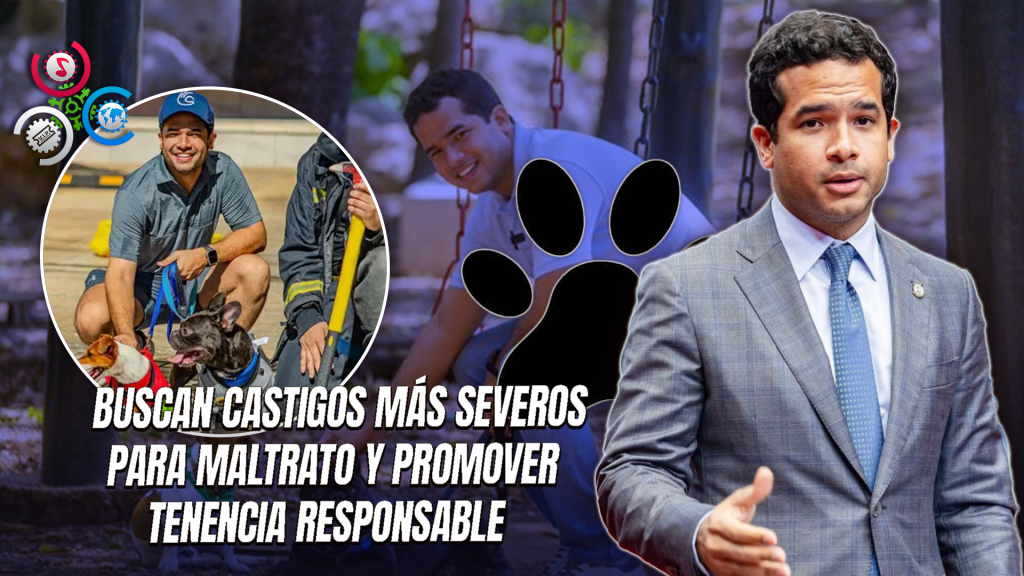 Senador Omar Fernández impulsa reforma de la Ley de Protección Animal ...